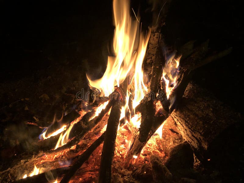 Bonfire in the Night. Log Fire. Campfire, Burning Logs Stock Photo ...