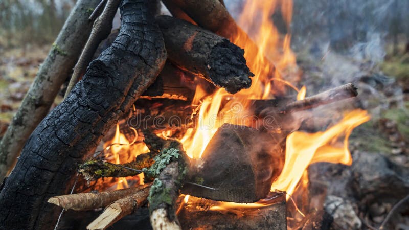Bonfire. Orange Flame of a Fire. Burning Birch Tree in the Fireplace ...