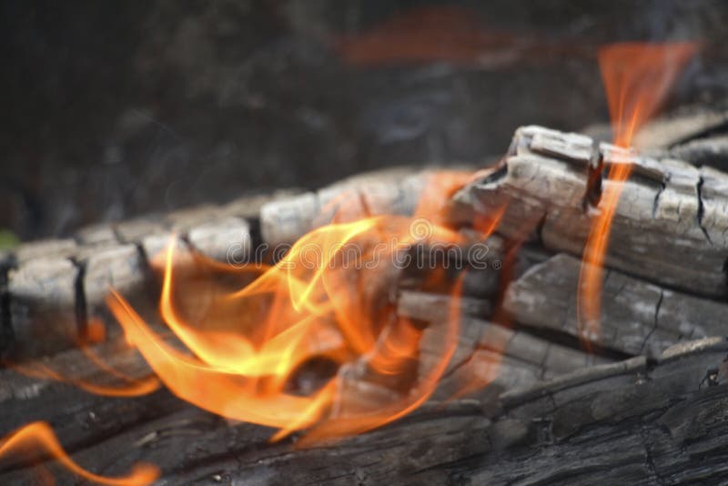 Bonfire. Orange Flame of a Fire Stock Photo - Image of barbecue, burn ...