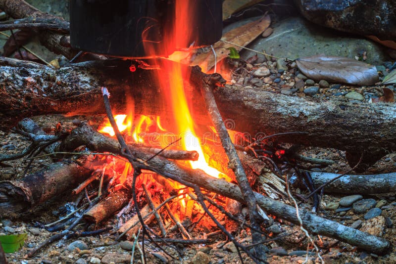 Bonfire with Orange Flames and Firewood Stock Image - Image of branches ...