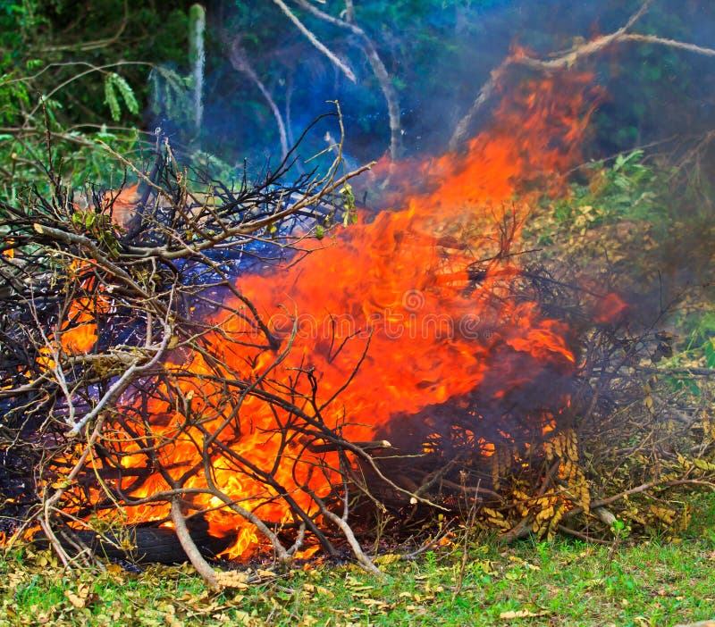 Bonfire stock image. Image of fiery, bright, camp, asia - 36131999