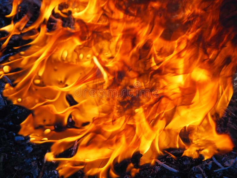 Bonfire stock image. Image of fire, camp, burning, light - 106491721