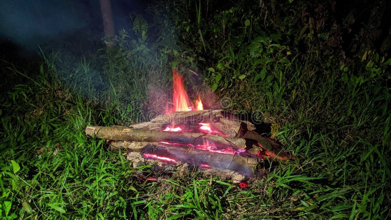 Bonfire with Red Flames Burning on the Grass at Night. Stock Photo ...