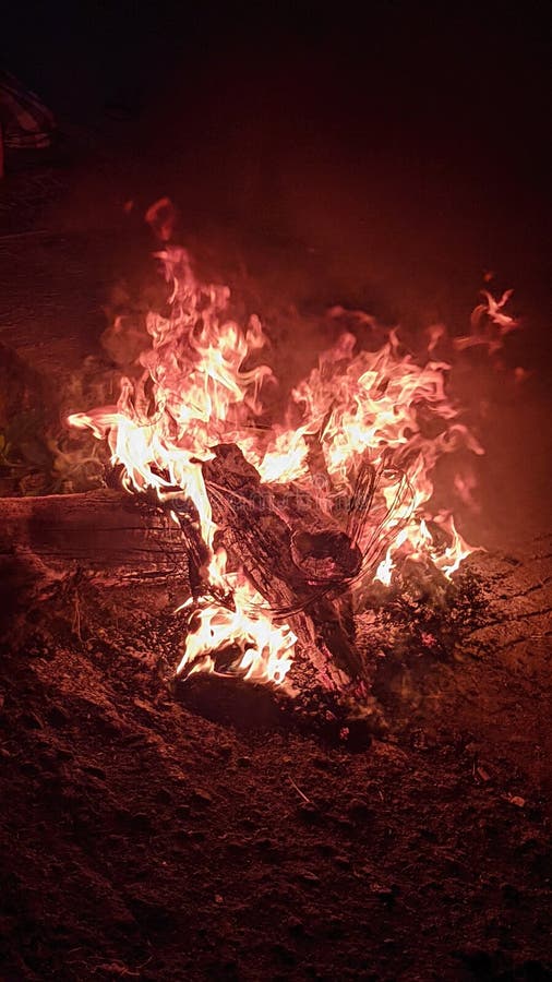 Bonfire stock photo. Image of lighting, soil, flame - 354769552