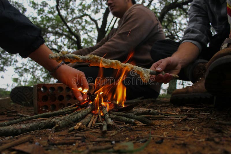 Bonfire editorial photo. Image of bonfire, fire, scout - 72606546