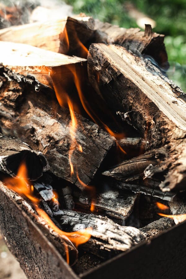 Big Bonfire with Smoke. Flames of a Campfire in the Night Stock Image ...