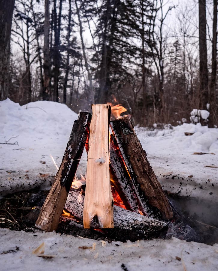 Bonfire in a Snow-covered Forest Stock Photo - Image of blaze ...