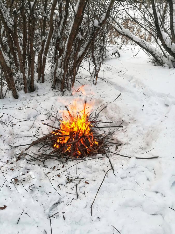 Bonfire in the Snow in the Forest.Siberia Stock Image - Image of flame ...