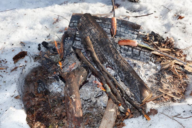 Bonfire in the Snow. Bonfire in the Winter Forest. a Fire Made of Dry ...
