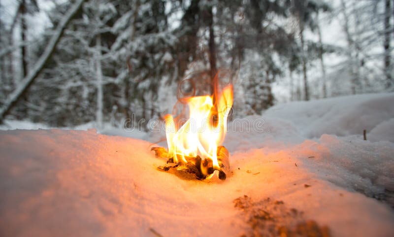 Bonfire on a Snowy Clearing in the Woods Stock Image - Image of ...