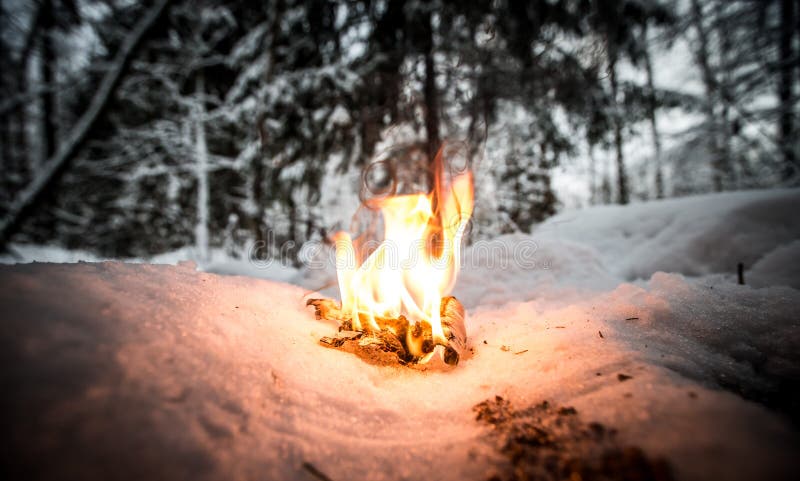 Bonfire on a Snowy Clearing in the Woods. Toned Stock Image - Image of ...