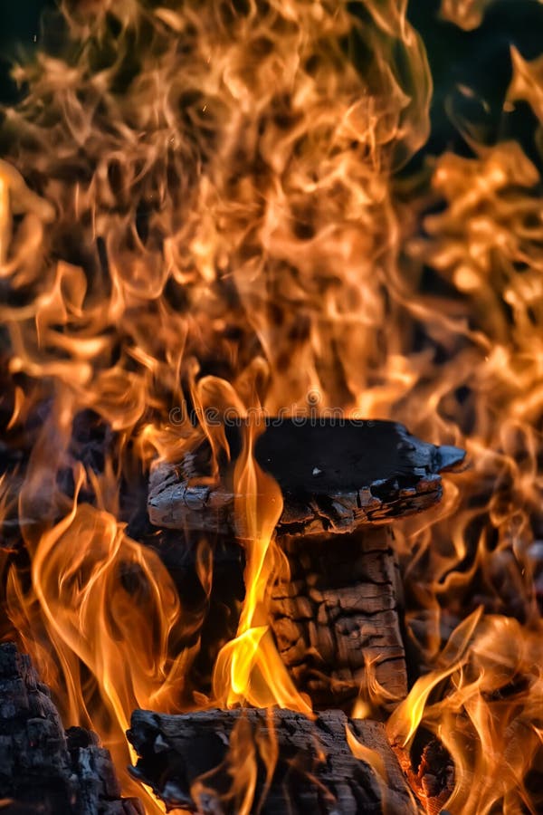 Beautiful Summer Campfire Flame Stock Image - Image of campfire ...