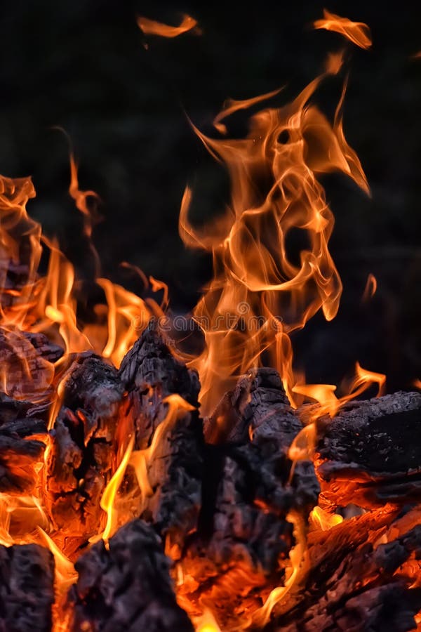 Beautiful Summer Campfire Flame Stock Image - Image of element, bonfire ...