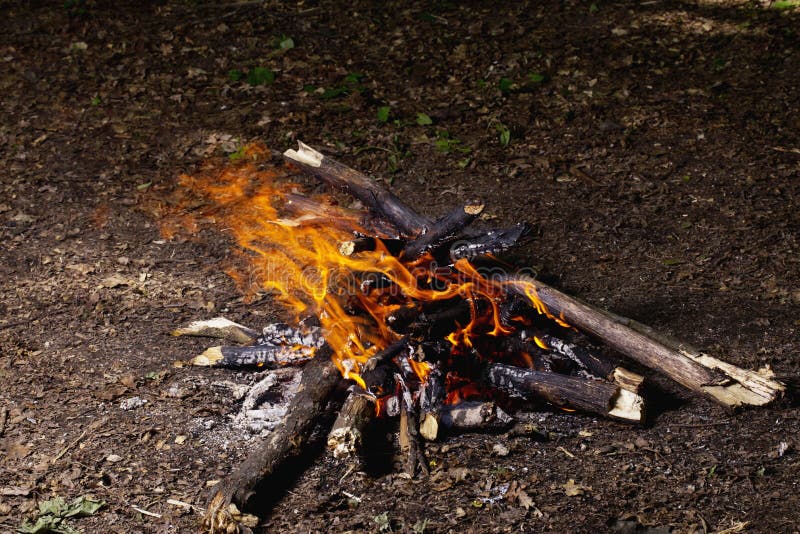 Bonfire in the Spring Forest Stock Image - Image of forest, calcination ...