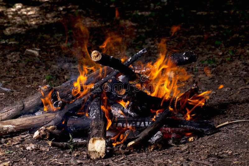 Bonfire in the Spring Forest Stock Image - Image of orange, locations ...