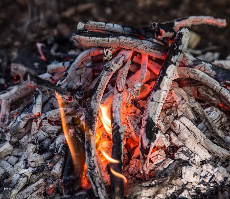 Bonfire in spring forest stock photo. Image of burn, glow - 55996350