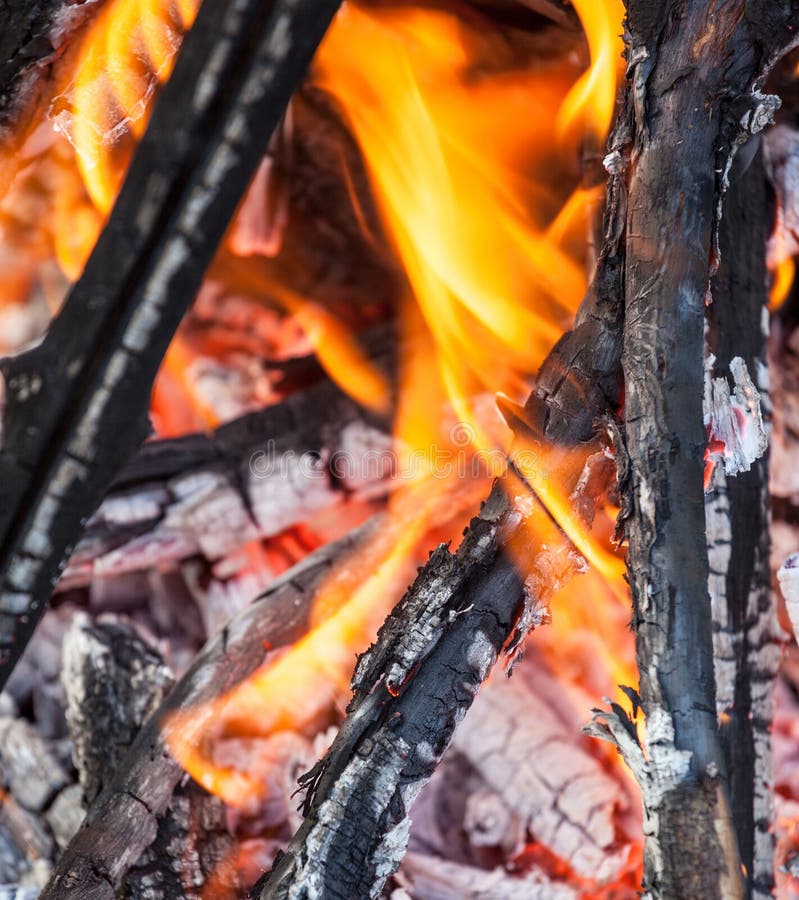 Man and Bonfire in Spring Forest. Coals of Fire Stock Photo - Image of ...