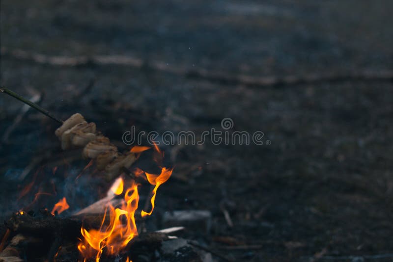 Bonfire in the Spring on the Nature. Stock Photo - Image of black ...