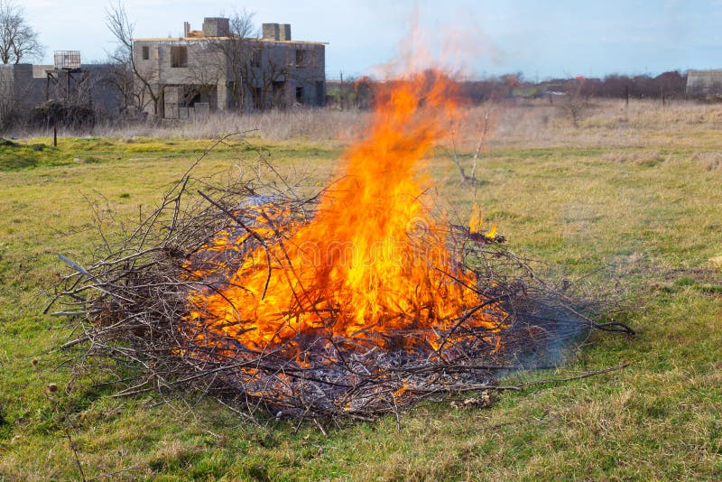 Bonfire at the Summer Cottage. Burning Dry Branches in the Field ...