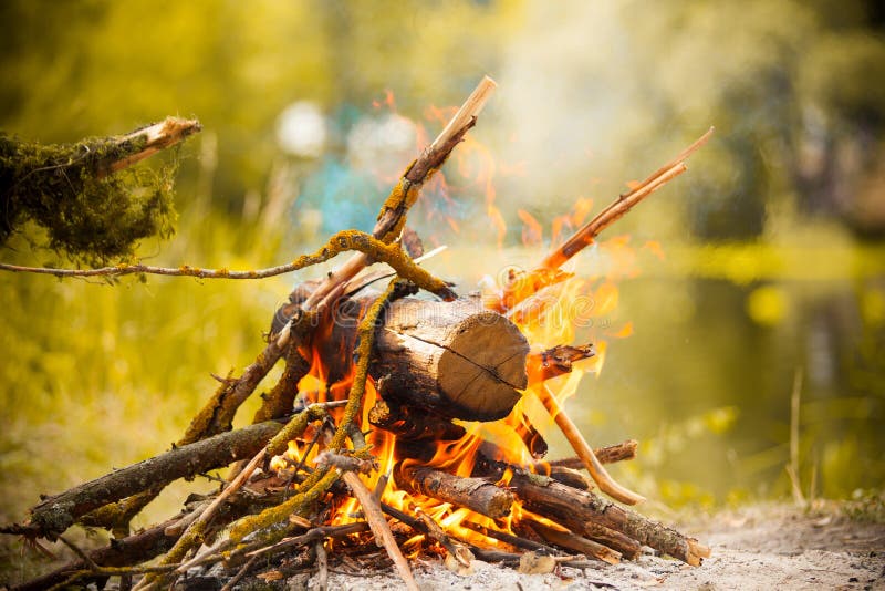 Bonfire on Summer. Fire Flame from Bonfire on a Nature Stock Image ...