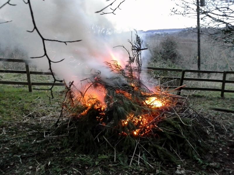 Bonfire through the Trees stock photo. Image of trees - 93569232