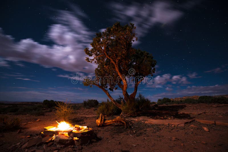 Bonfire under the Stars stock photo. Image of dark, blaze - 57204534