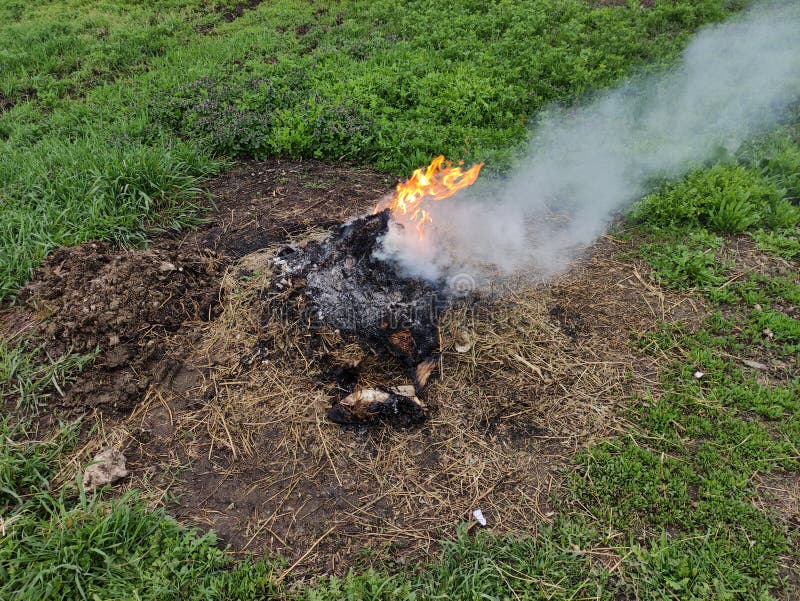 Bonfire in the Vegetable Garden in the Countryside Stock Image - Image ...