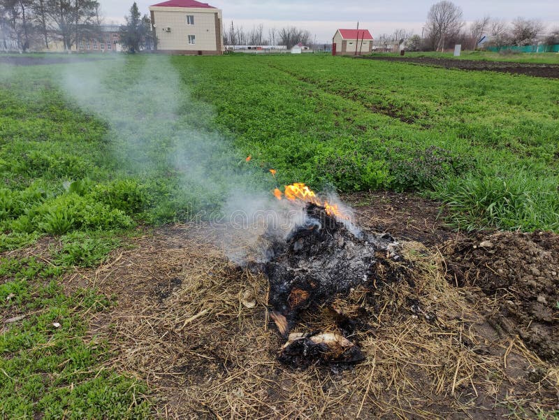 Bonfire in the Vegetable Garden in the Countryside Stock Photo - Image ...