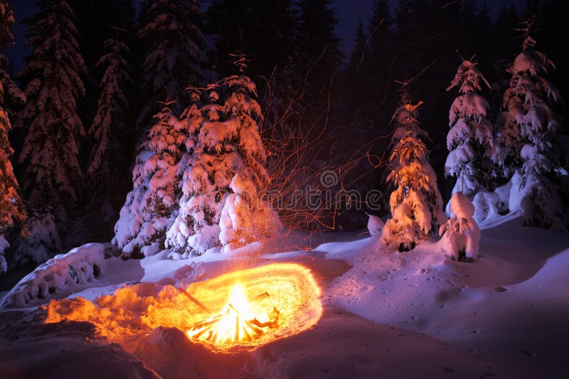 Bonfire in the Winter Forest Illuminates the Snow. Stock Image - Image ...