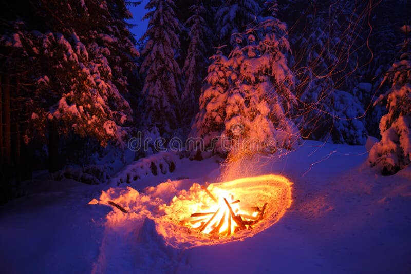 Bonfire in the Winter Forest Illuminates the Snow Stock Photo - Image ...