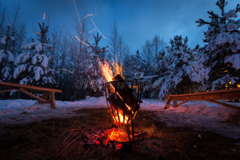 Bonfire in the Winter Forest Illuminates the Snow Stock Photo - Image ...