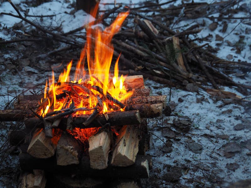 Bonfire in the Winter Forest. Stock Image - Image of glowing, coal ...