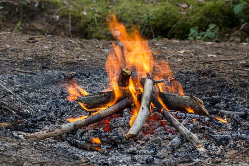 Bonfire stock photo. Image of bonfire, firewood, vertical - 32183822