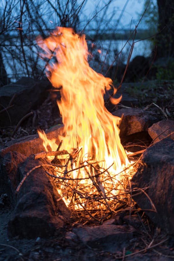 Bonfire in the Wood with Lake Stock Image - Image of flare, tongue ...