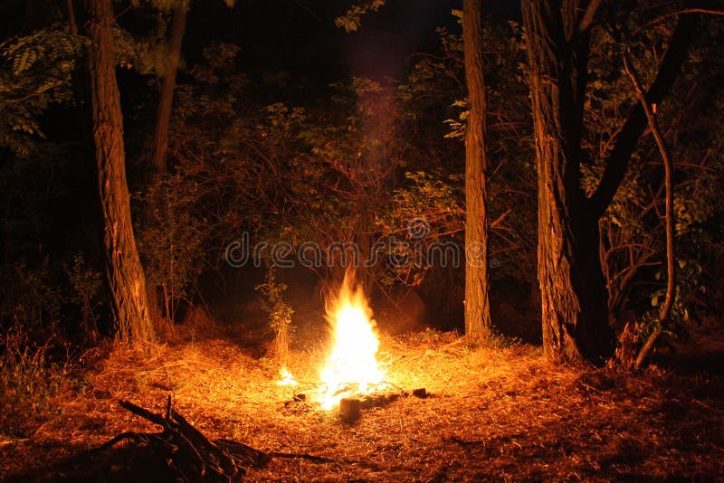 Camping In The Woods With A Fire