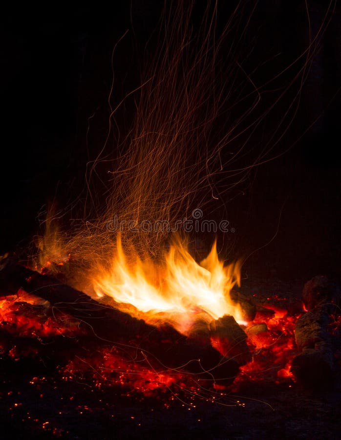 Bonfire in the woods stock photo. Image of fireplace - 56236464