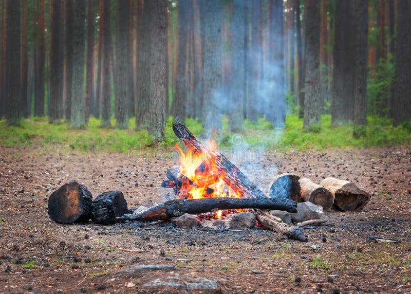 Bonfire stock image. Image of bonfire, pine, woods, smoke - 86251053
