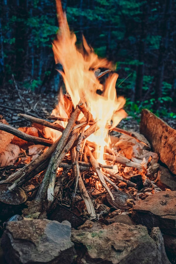 Bonfire in the Woods stock photo. Image of blaze, fall - 12184996