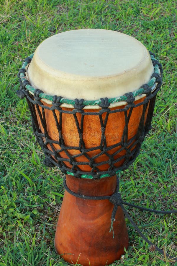 Bongo Single Close Left stock photo. Image of bongo - 131177386