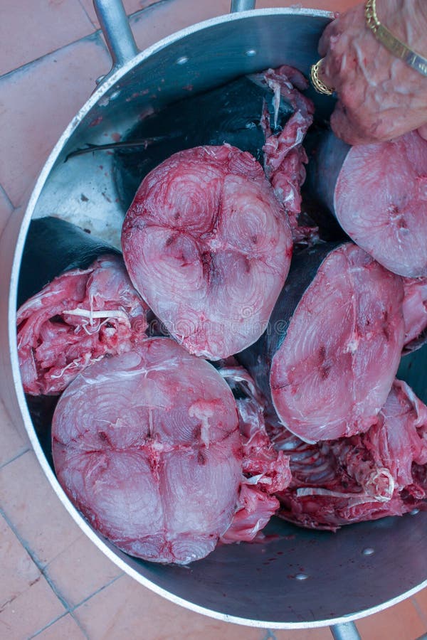 Bonitos Cut and Fresh Prepared for Being Cooked Stock Image - Image of ...