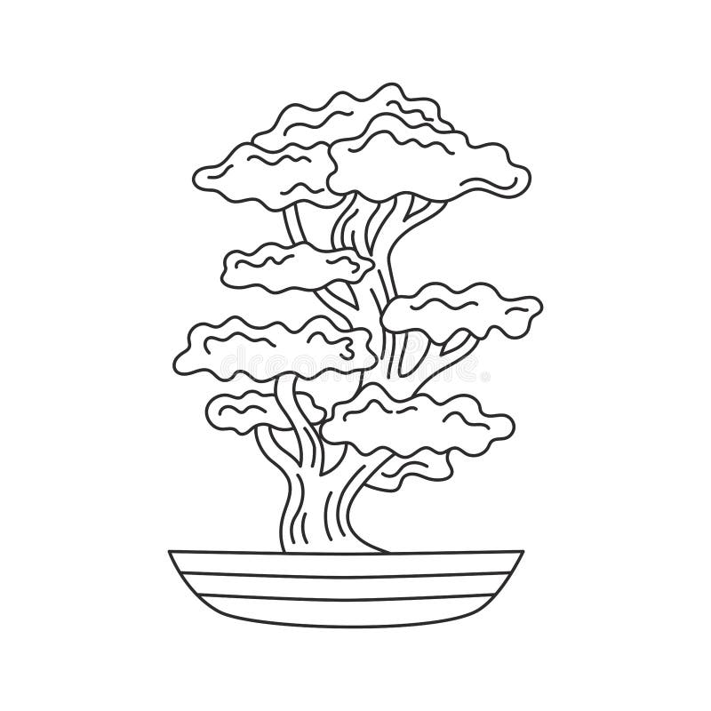 Japanese tree stock vector. Illustration of coniferous - 19792402