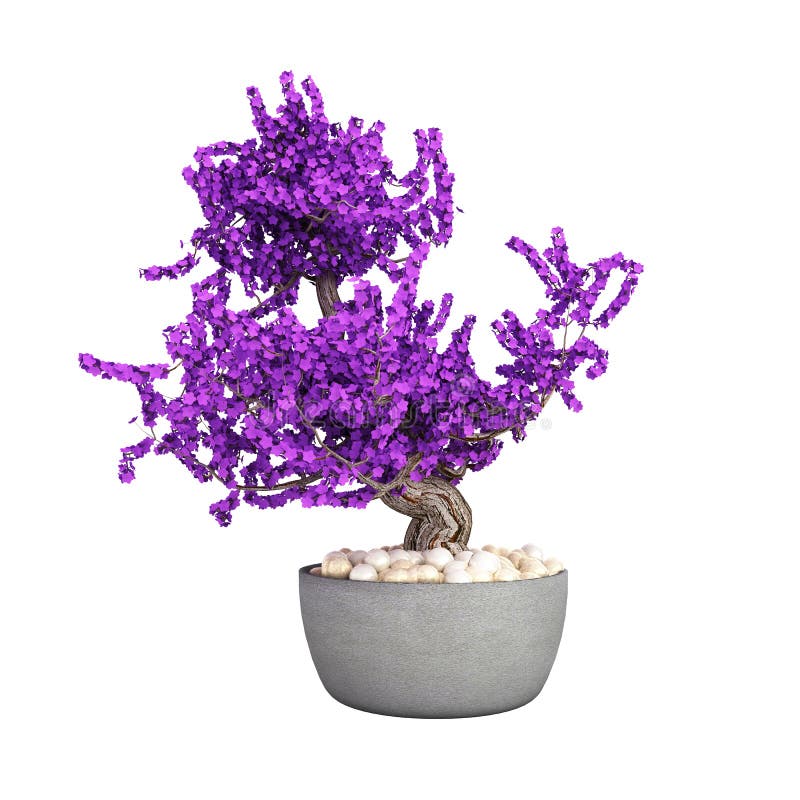 Bonsai Potted Tree Side View on White Background 3d Stock Illustration ...