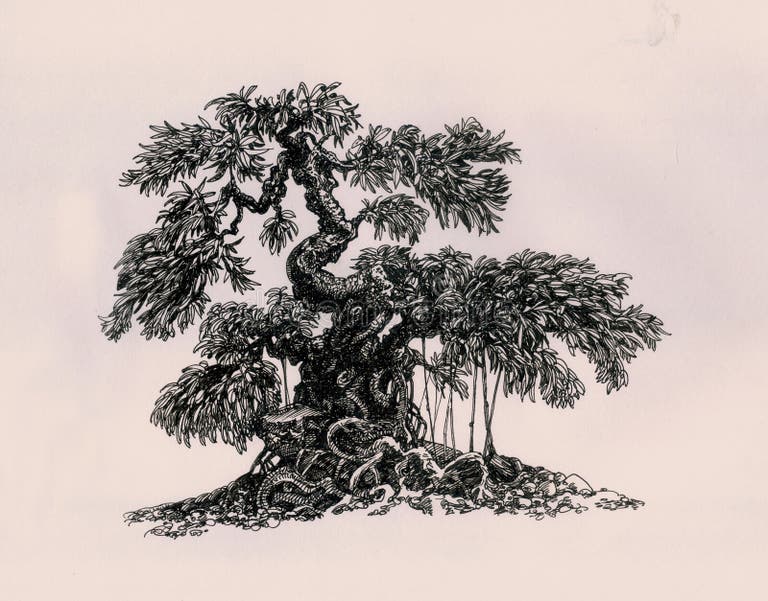 Bonsai in the Style of Banyan. Stock Illustration - Illustration of ...