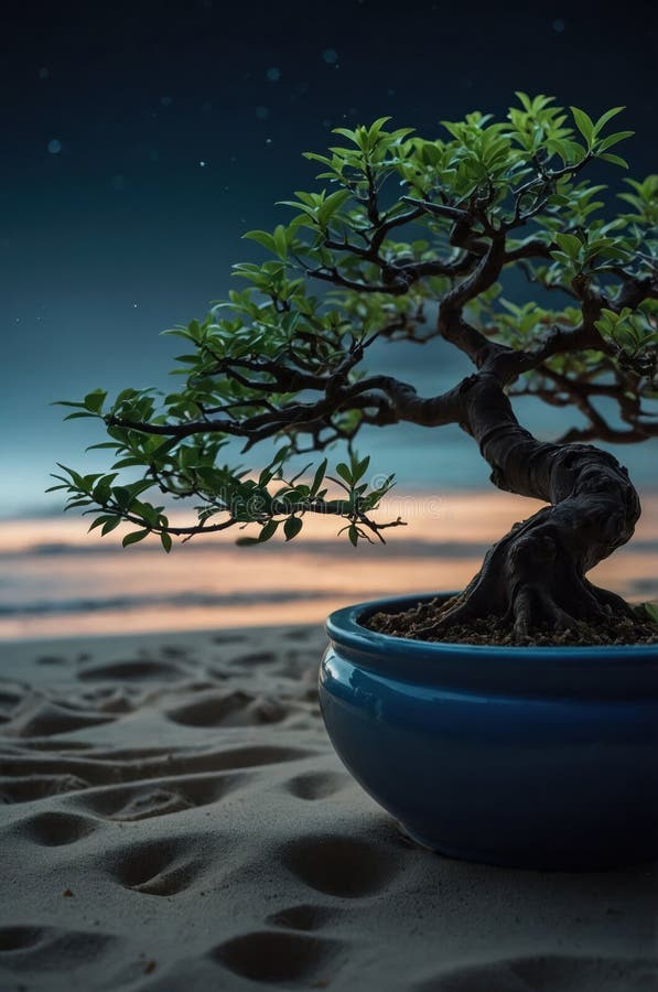 Serene Bonsai Tree at Sunset Beach Stock Illustration - Illustration of ...