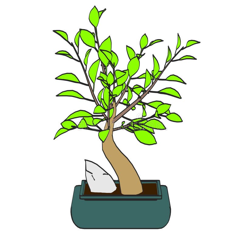 Bonsai tree stock illustration. Illustration of tree - 35595272