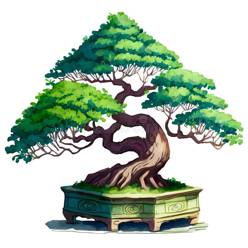 Bonsai Tree Colourful Vector Illustration on White Background. Cartoon ...