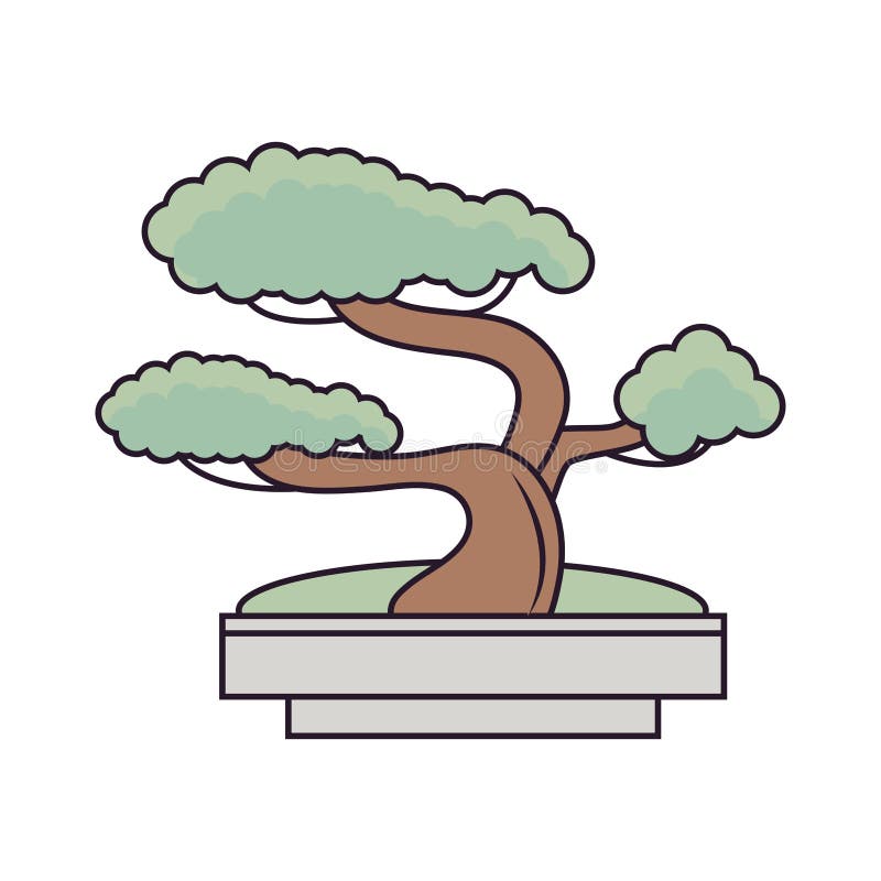 Bonsai tree icon stock vector. Illustration of isolated - 255480966