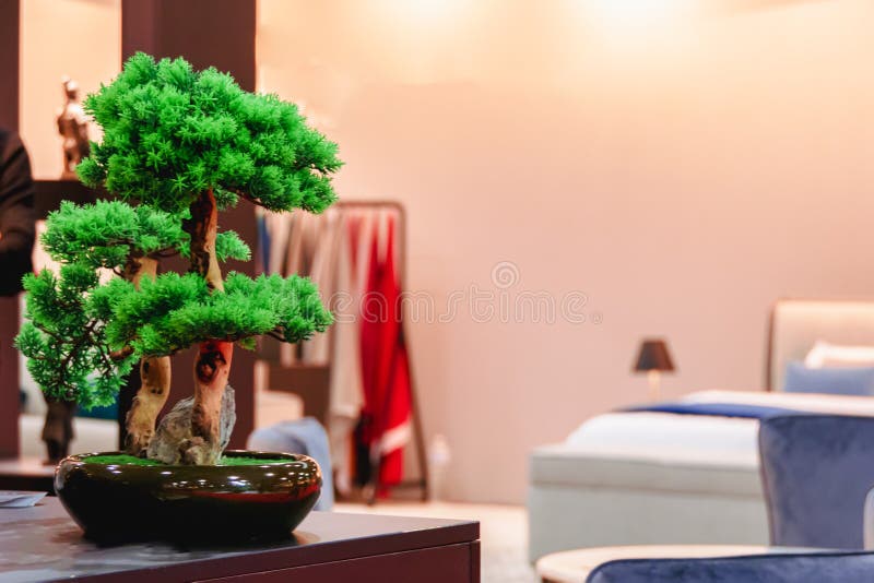 Bonsai Tree in the Interior of the Room Stock Image - Image of room ...