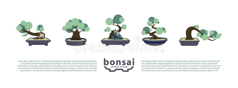 Bonsai Trees and Bonsai Pots Set. Vector Flat Icons with Bonsai Styles ...