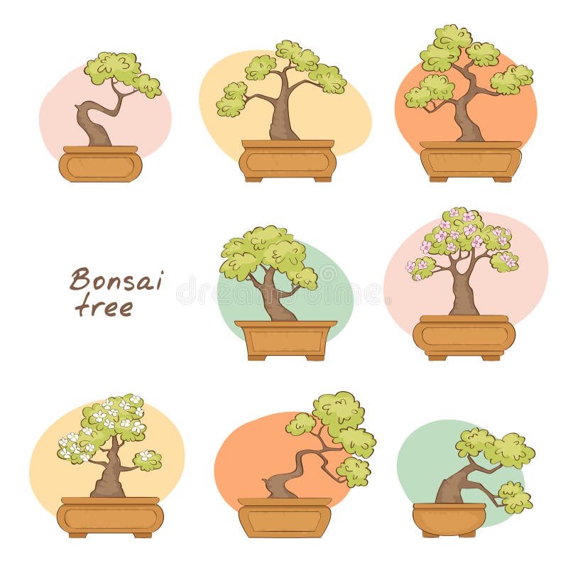 Bonsai trees stock vector. Illustration of collection - 101777244
